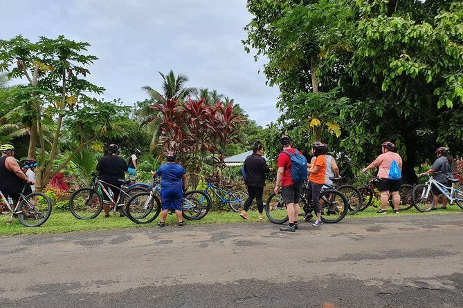 'Discover' Rarotonga Cycling Tour with Lunch - Authenticity and Review Highlights