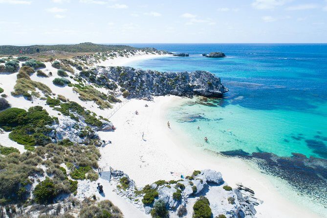 Discover Rottnest with Ferry & Bus Tour - Exploring the Rottnest with Ferry & Bus Tour – A Genuine Look