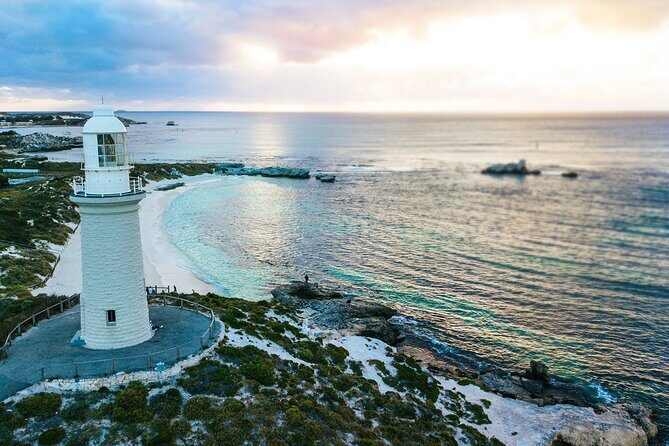 Discover Rottnest with Ferry & Bus Tour - Key Points