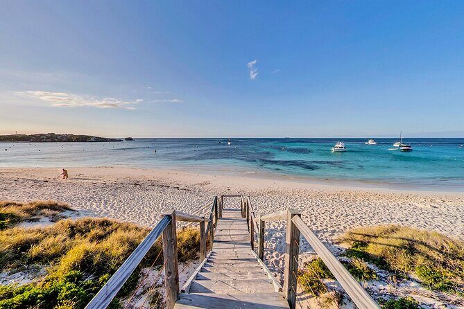 Discover Rottnest with Ferry & Bus Tour - Final Thoughts