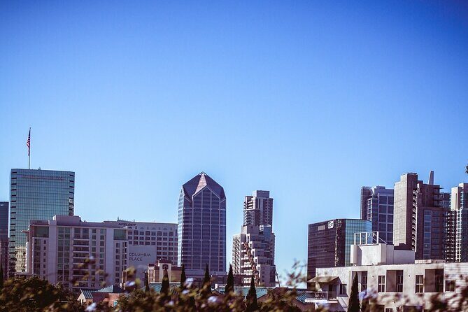 Discover San Diego Together with Family Walking Tour - The Sum Up