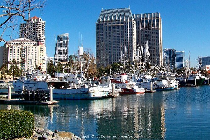 Discover San Diego's Beaches: Private Driving Tour - The Sum Up