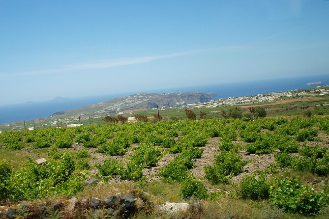 Discover Santorini - Why This Tour Offers Good Value