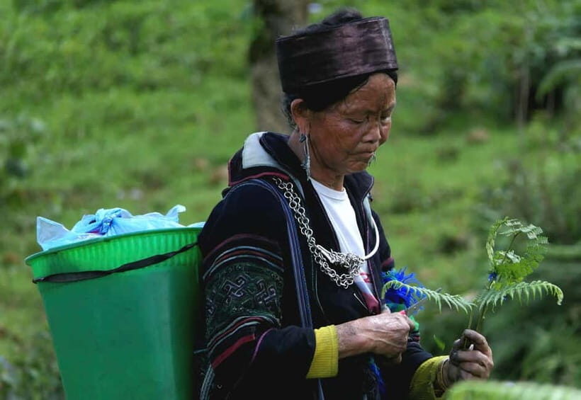 Discover Sapa: 2D1N Trekking Adventure & Cozy LaLa Homestay - Guides and Local Culture