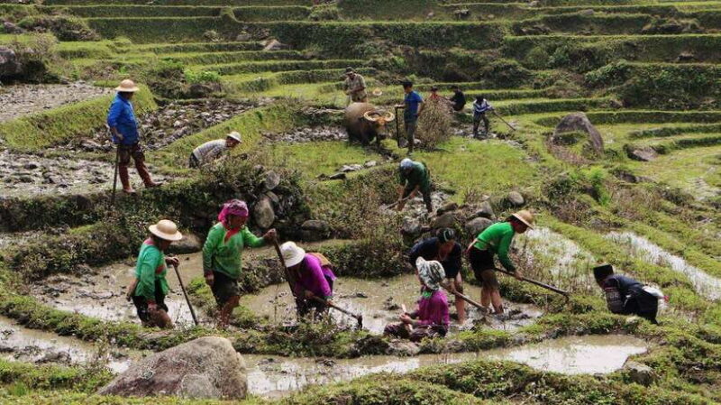 Discover Sapa Trekking with optional Cultural Homestay - Who This Tour is Perfect For