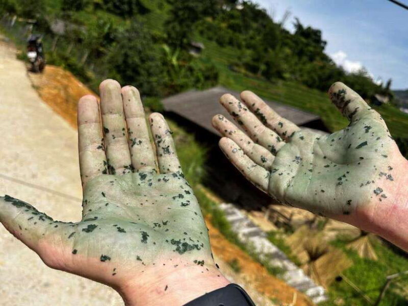 Discover Sapa Trekking with optional Cultural Homestay - The Sum Up