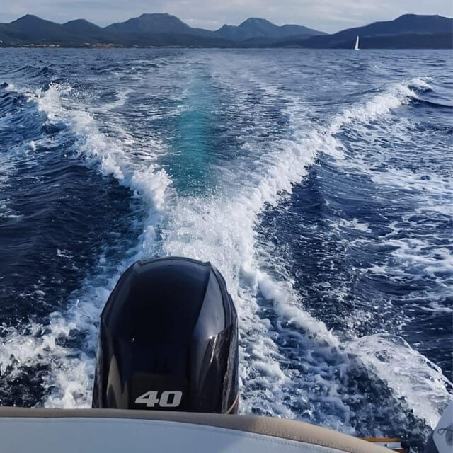 Discover Sardinia: Dolphin Watching and Capo Figari Tour - The Value Proposition