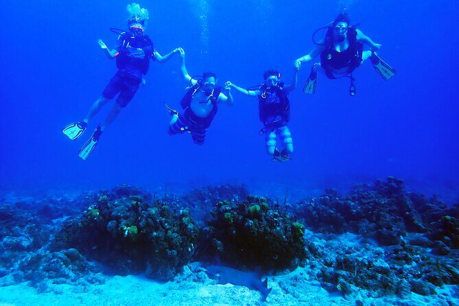 Discover Scuba and Snorkel Excursion in Charlotte Amalie - The Value of the Experience