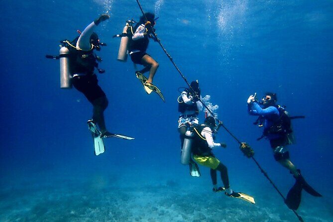 Discover Scuba and Snorkel Excursion in Charlotte Amalie - Practical Considerations