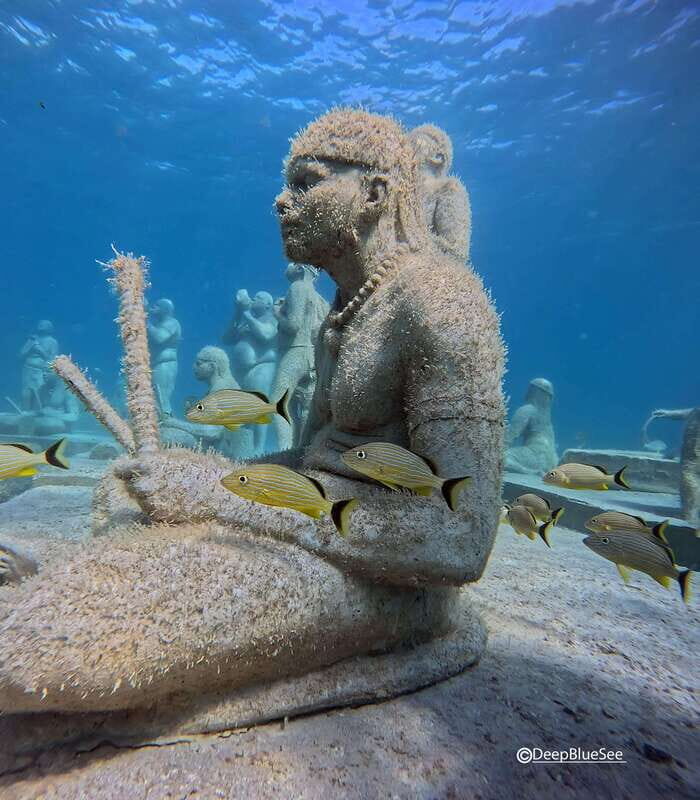 Discover Scuba at the Underwater Sculpture Park - An In-Depth Look at the Underwater Sculpture Park Tour