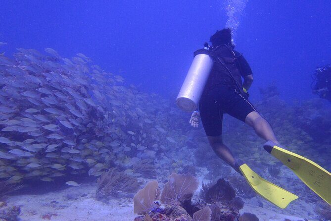 Discover Scuba - What to Expect from the Discover Scuba Tour