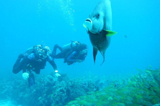 Discover Scuba - Final Thoughts