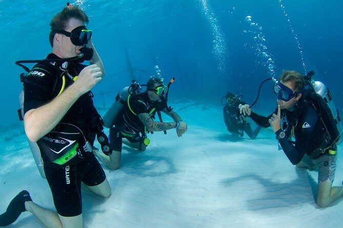 Discover Scuba Dive in Curacao - An Intro to the Experience: What You Can Expect