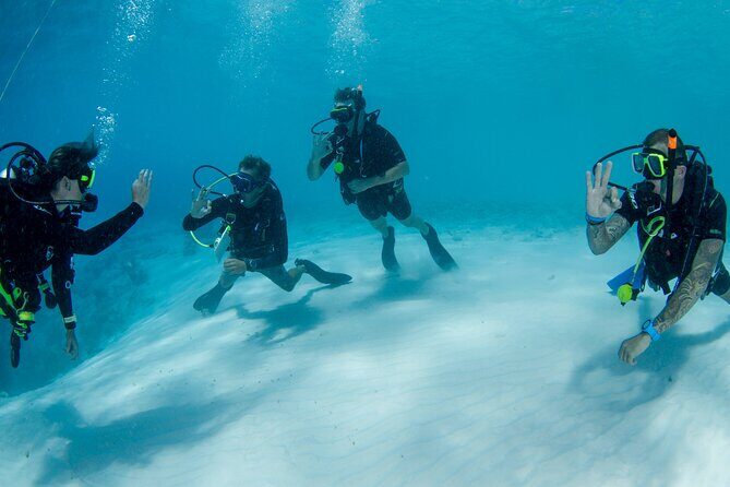 Discover Scuba Dive in Curacao - Important Practical Details