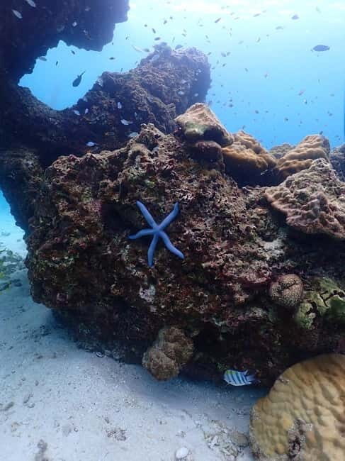 Discover Scuba diving - Key Points