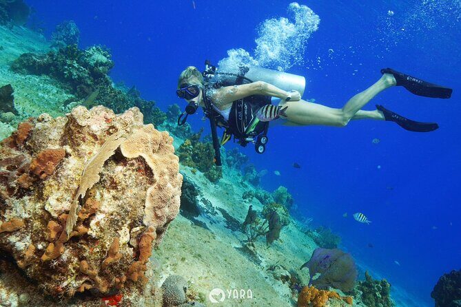 Discover Scuba Diving - The Sum Up