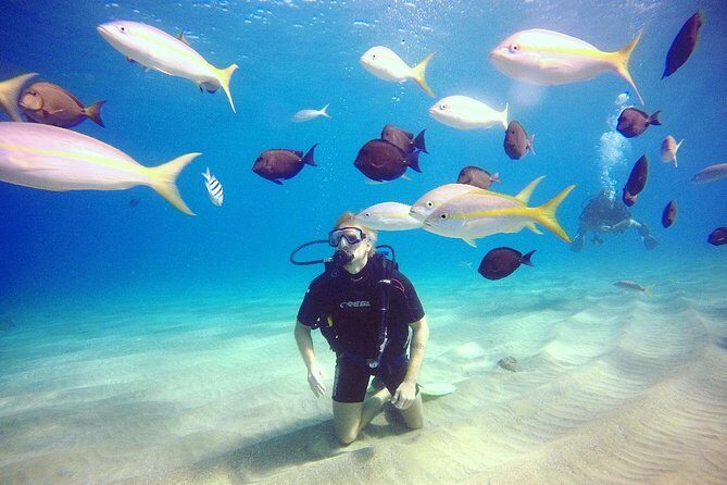 Discover Scuba Diving - Key Points