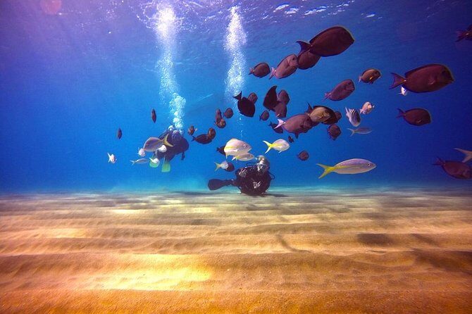 Discover Scuba Diving - The Itinerary Breakdown