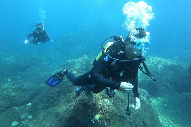 Discover Scuba Diving - Meeting Point and Logistics
