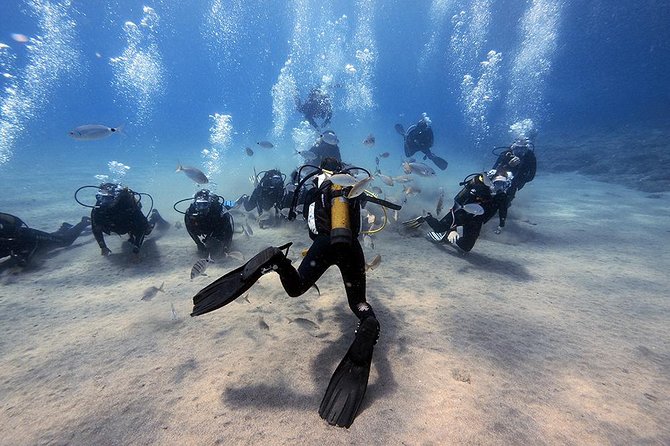 Discover Scuba Diving - Discover Scuba Diving in Lanzarote: A Genuine, In-Depth Review