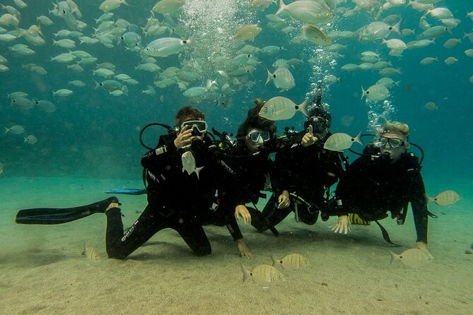 Discover Scuba Diving - Who Will Love This Experience?