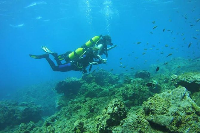 Discover Scuba Diving - Who Should Consider This Tour?