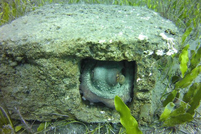 Discover Scuba Diving - Final Thoughts