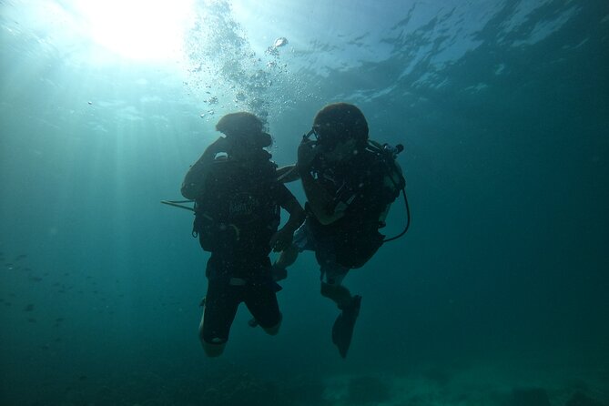 Discover SCUBA Diving - Who Should Consider This Tour?