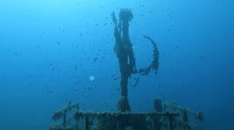 Discover Scuba Diving - The Practicalities: Equipment, Safety, and Comfort