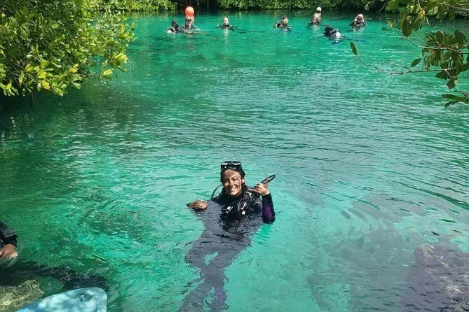 Discover Scuba Diving at Casa Cenote - Key Points