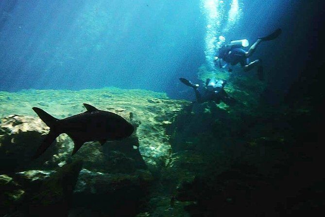 Discover Scuba Diving at Casa Cenote - Is It Worth the Price?