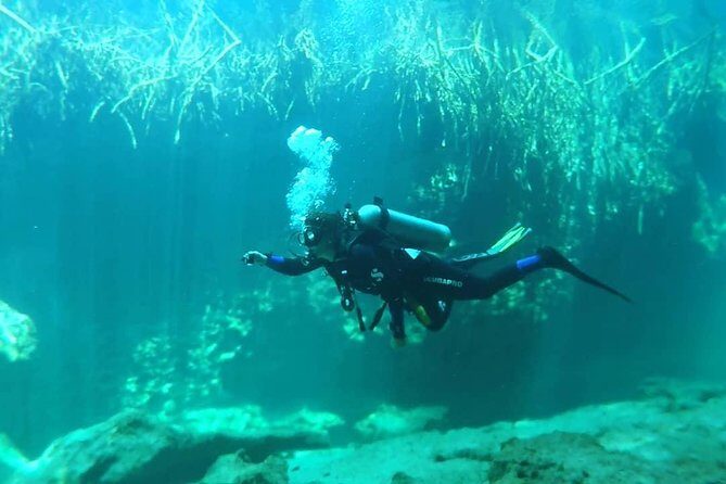 Discover Scuba Diving at Casa Cenote - Who Should Consider This Tour?