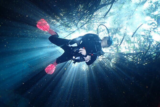 Discover Scuba Diving at Casa Cenote No Certification Needed - Meeting Point and Arrival