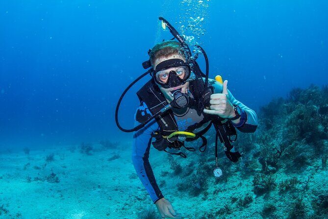 Discover Scuba Diving at Cozumel Marine Park - The Experience in Detail: What You Can Expect