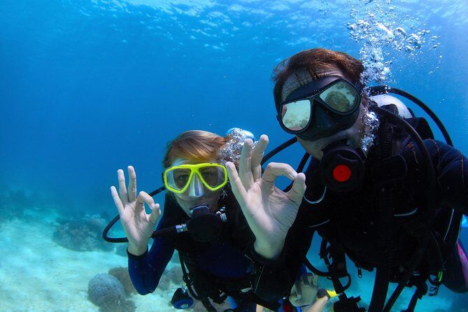 Discover Scuba Diving & Beach Club with Transportation In Riviera Maya - Authentic Experiences and What Travelers Say