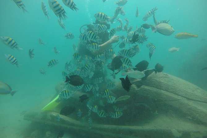 Discover Scuba Diving ( beginners) Combined With Jet Ski - Authentic Insights from Travelers