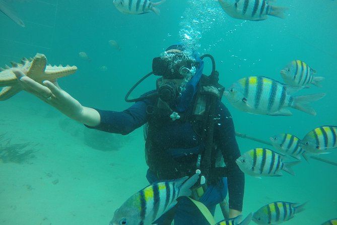 Discover Scuba Diving ( beginners) Combined With Jet Ski - Itinerary Breakdown