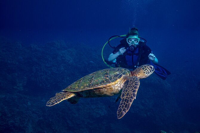 Discover Scuba Diving Class From Lahaina - Key Points