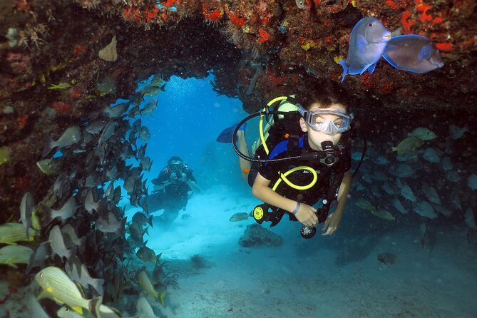 Discover Scuba Diving Course in Playa del Carmen with Two Coral Reef Dives - What to Expect from the Playa del Carmen Discover Scuba Course