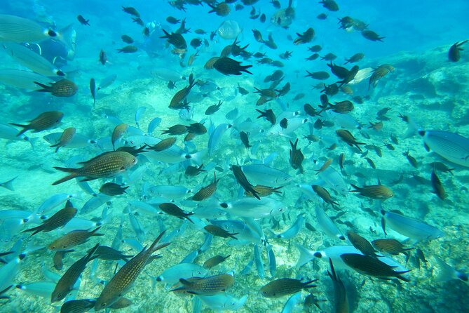 Discover Scuba Diving - Getting Ready for Your Dive