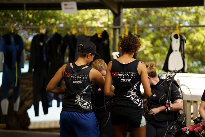 Discover Scuba Diving Experience - Authentic Experiences from Participants