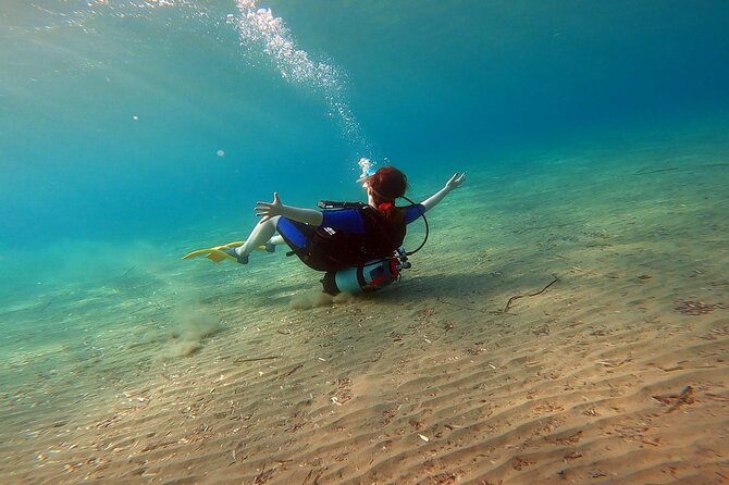 Discover Scuba Diving Experience in Nea Makri, Athens - Why This Tour Receives Top Ratings