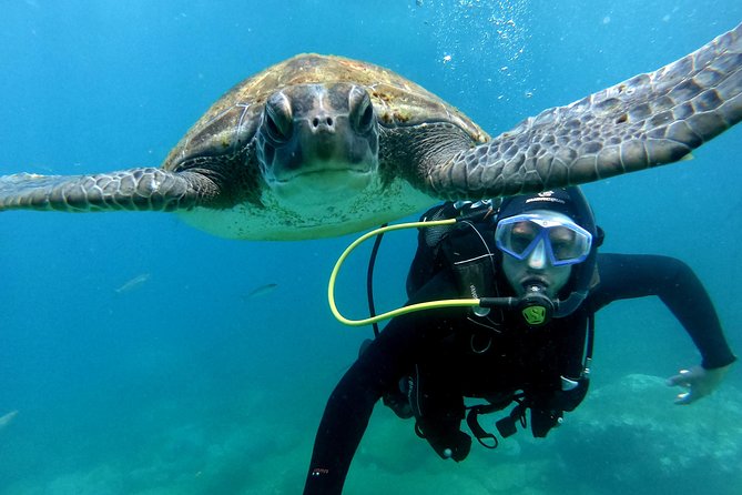 Discover Scuba Diving Experience in Turtle Habitat - Small-Group Diving Experience