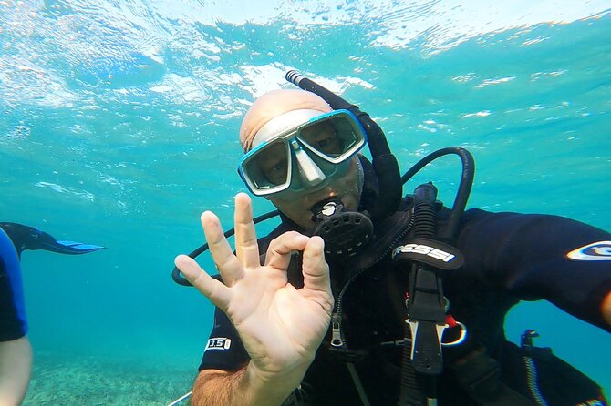 Discover Scuba Diving Experience Review - Inclusions and Transportation Details