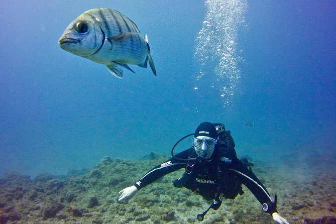 DISCOVER SCUBA DIVING - First Step to Your Certification - Discover Scuba Diving in Tenerife