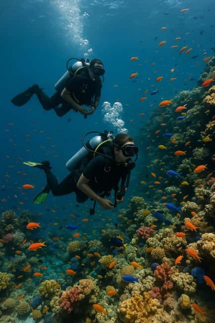 Discover Scuba Diving for Beginners Negril - An Authentic Introduction to Jamaica’s Marine World