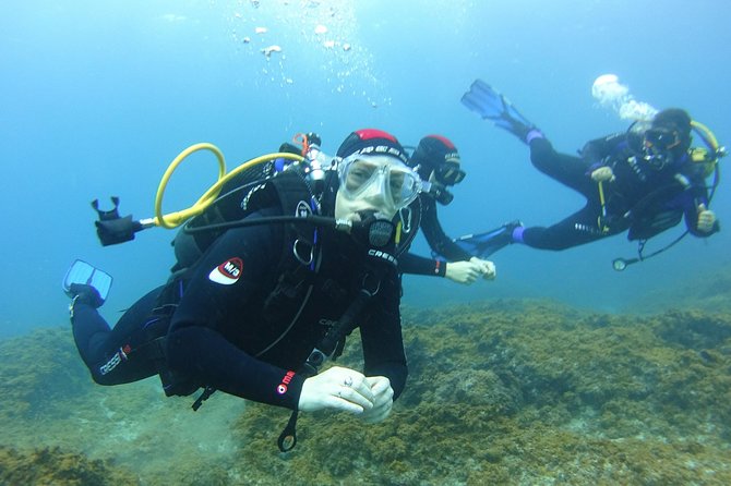 Discover Scuba Diving, Free Pictures Included - Overview and Experience