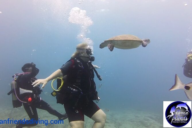 Discover Scuba Diving, Free Pictures Included - Booking and Cancellation Policy