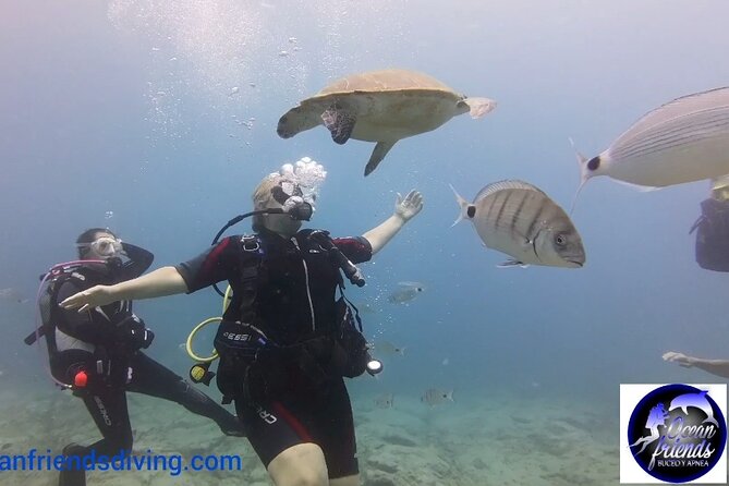 Discover Scuba Diving, Free Pictures Included - Capturing Memorable Moments