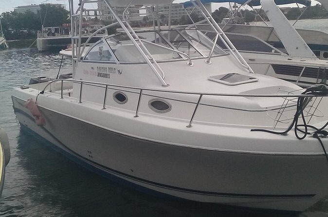 Discover Scuba Diving From Ocho Rios - Learning and Confidence Building